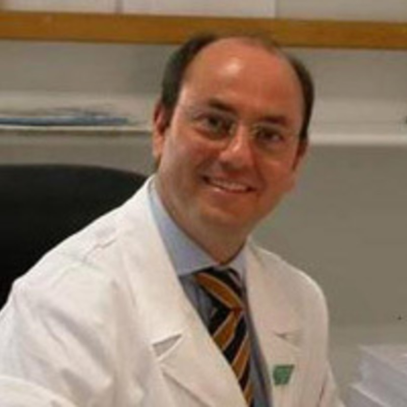 Leopoldo Spadea | OK Consulti